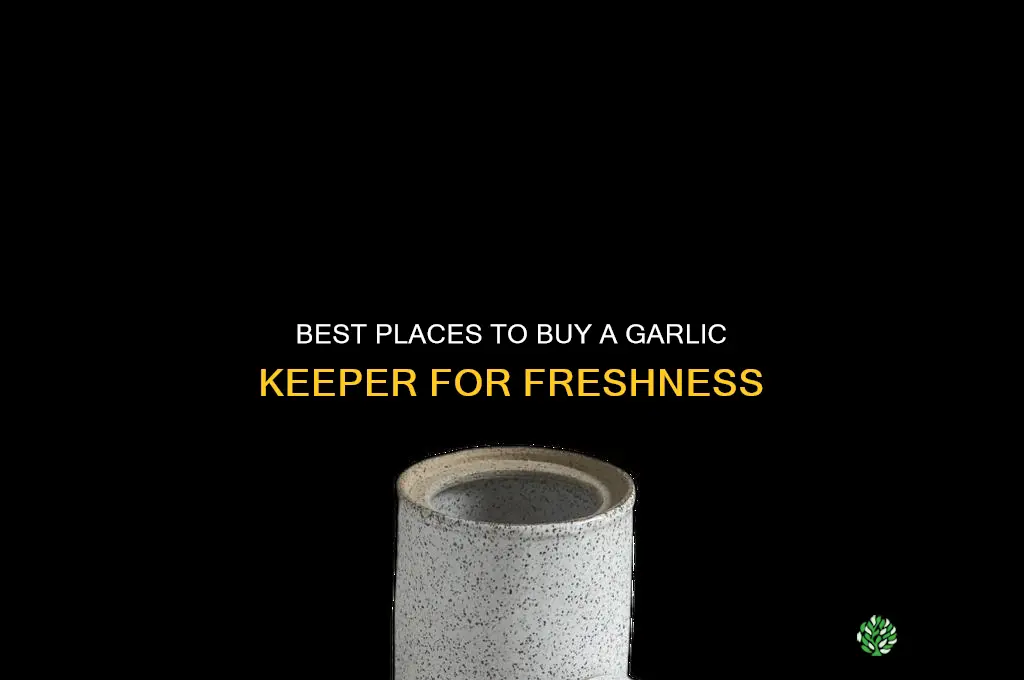 Best Places To Buy A Garlic Keeper For Freshness | ShunCy