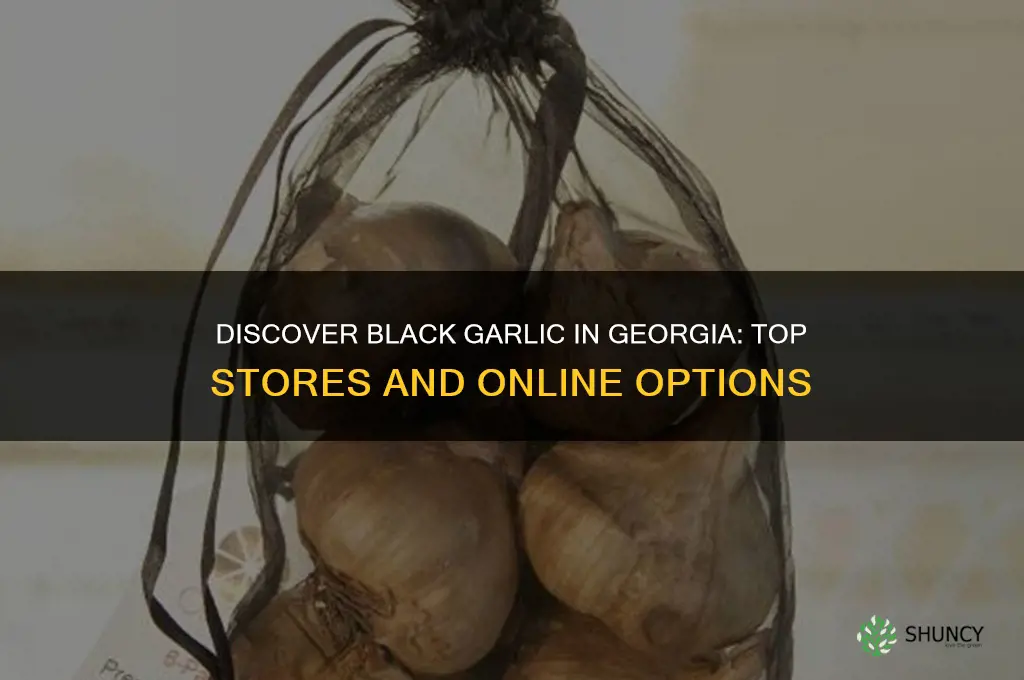 Discover Black Garlic In Georgia: Top Stores And Online Options | ShunCy