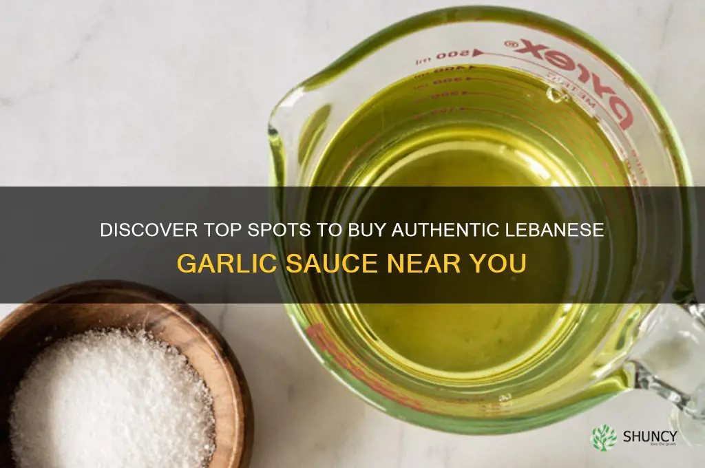 Discover Top Spots To Buy Authentic Lebanese Garlic Sauce Near You | ShunCy