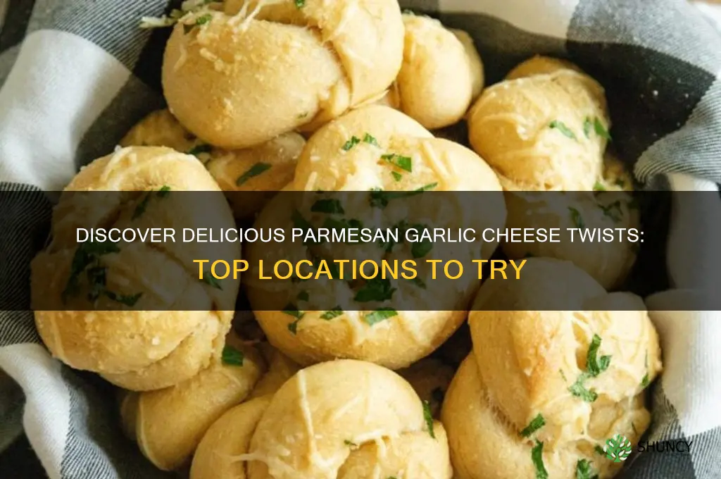 Discover Delicious Parmesan Garlic Cheese Twists: Top Locations To Try ...