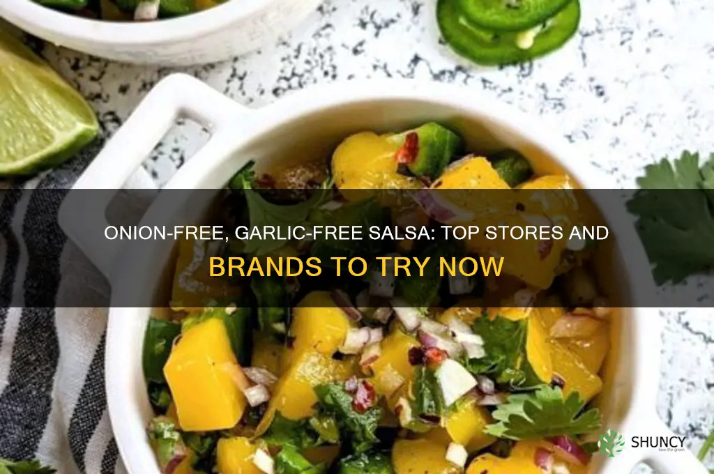 Onion-Free, Garlic-Free Salsa: Top Stores And Brands To Try Now | ShunCy