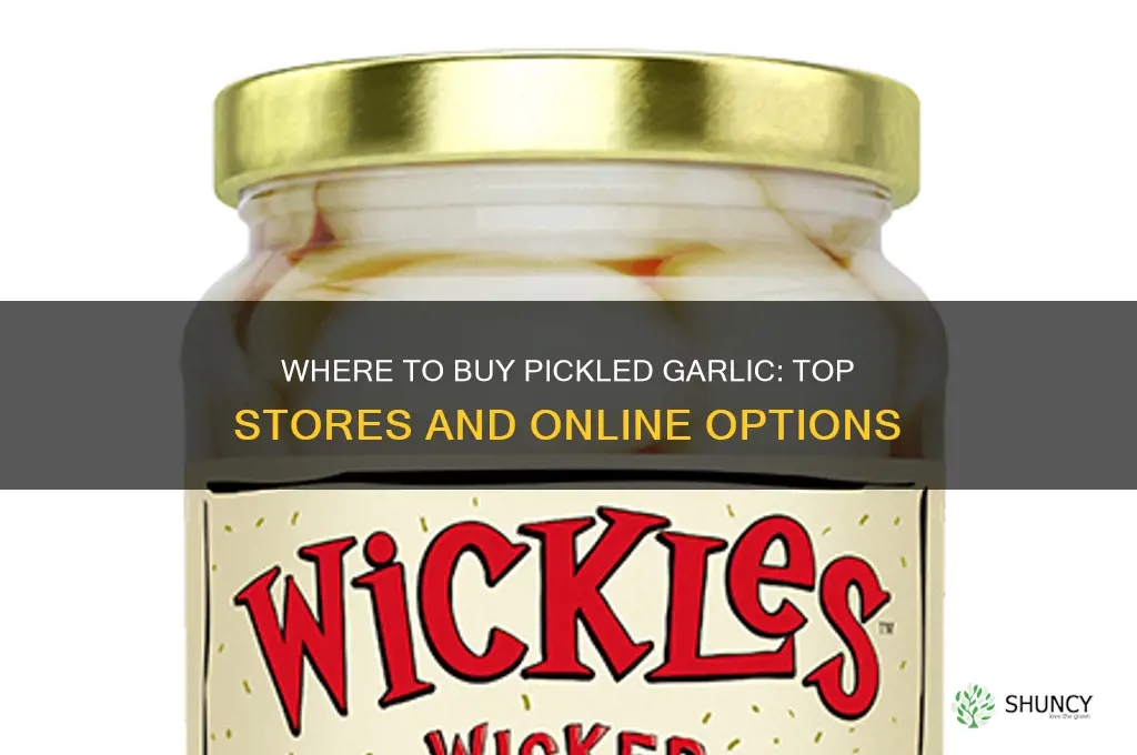 Where To Buy Pickled Garlic: Top Stores And Online Options | ShunCy
