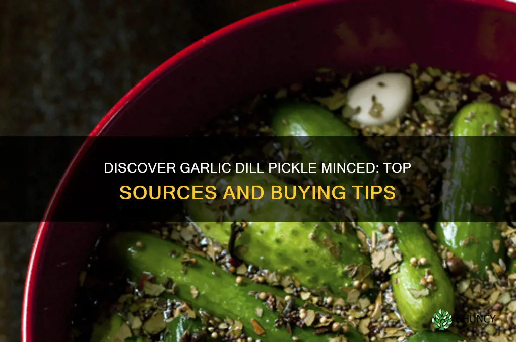 Discover Garlic Dill Pickle Minced: Top Sources And Buying Tips | ShunCy