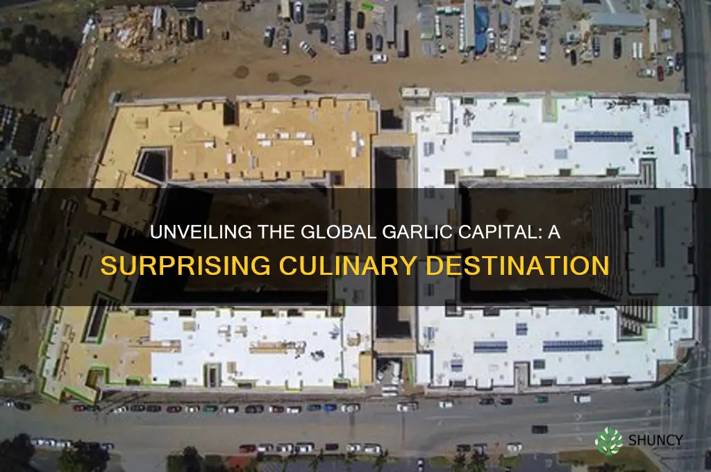 Unveiling The Global Garlic Capital: A Surprising Culinary Destination ...