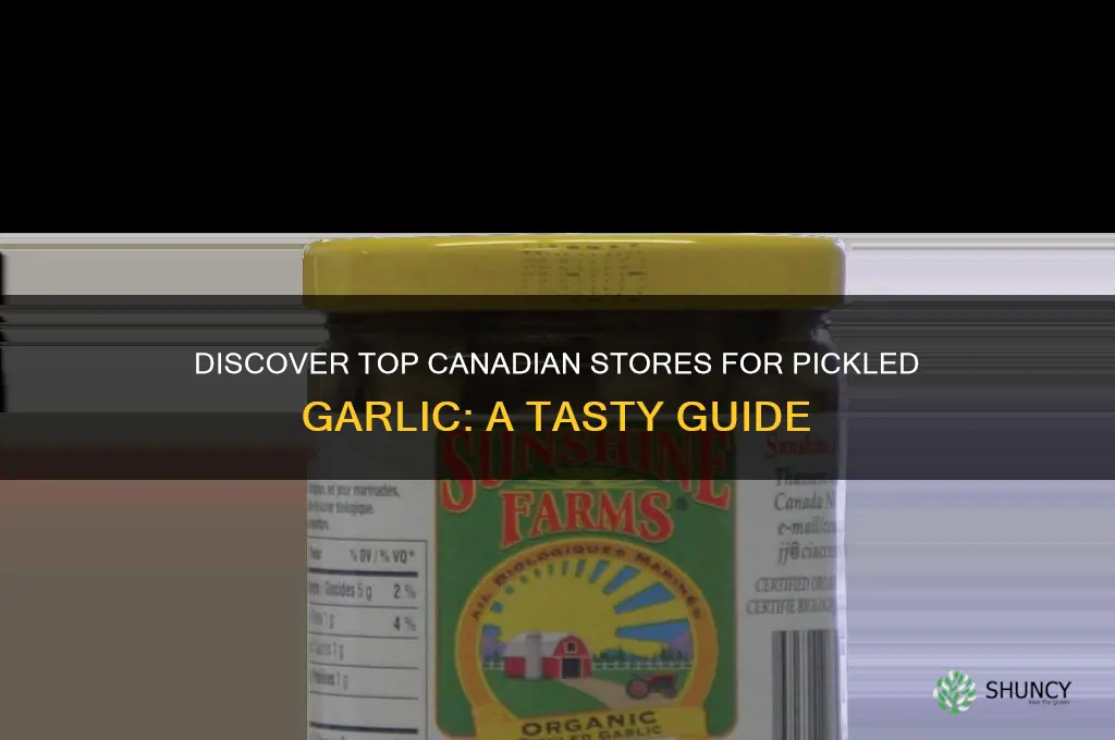 Discover Top Canadian Stores For Pickled Garlic: A Tasty Guide | ShunCy