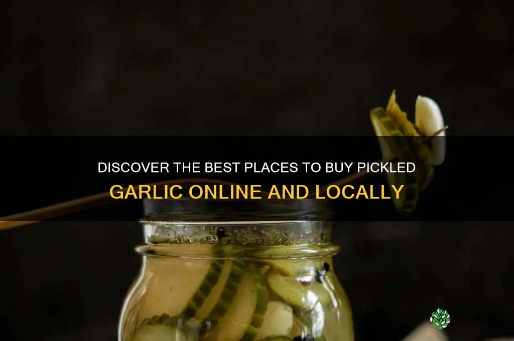 Discover The Best Places To Buy Pickled Garlic Online And Locally | ShunCy
