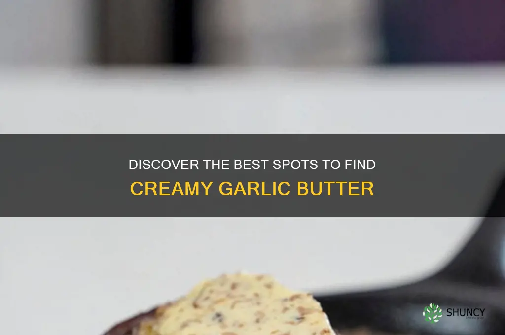 Discover The Best Spots To Find Creamy Garlic Butter | ShunCy