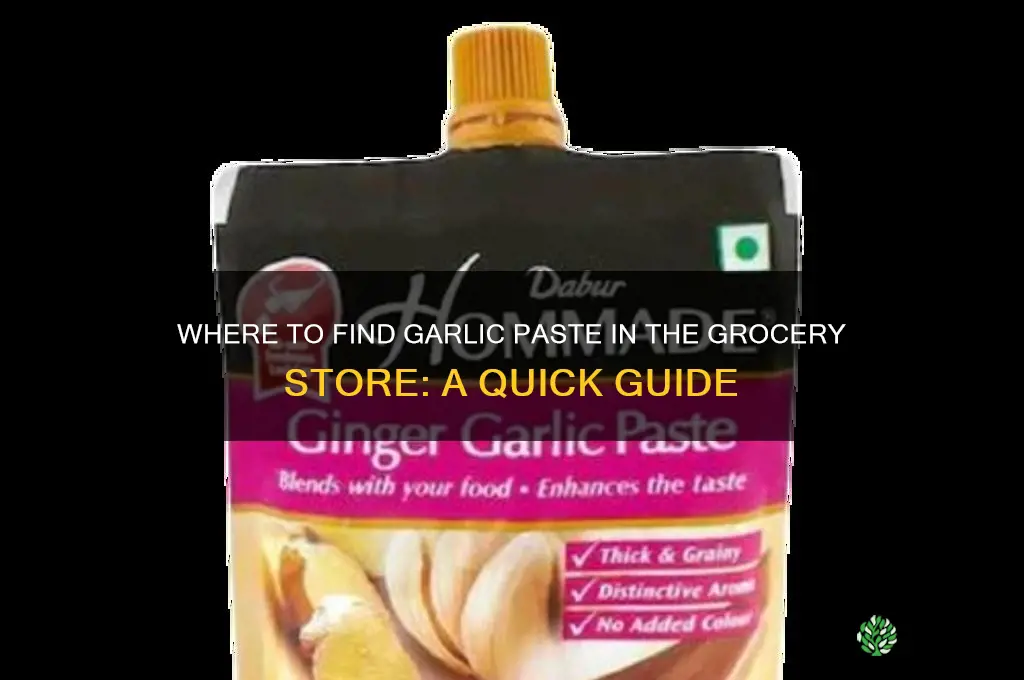 Where To Find Garlic Paste In The Grocery Store: A Quick Guide | ShunCy
