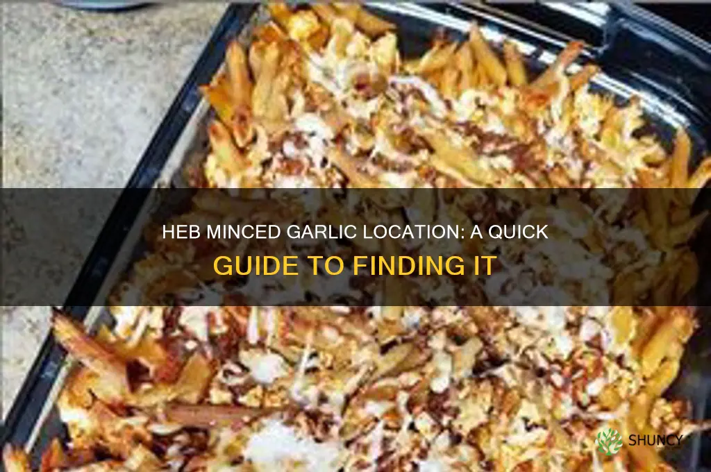 Heb Minced Garlic Location: A Quick Guide To Finding It | ShunCy