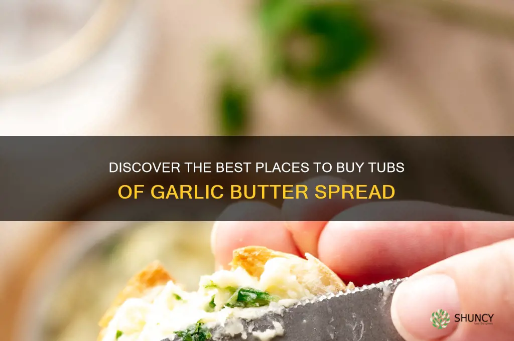 Discover The Best Places To Buy Tubs Of Garlic Butter Spread | ShunCy