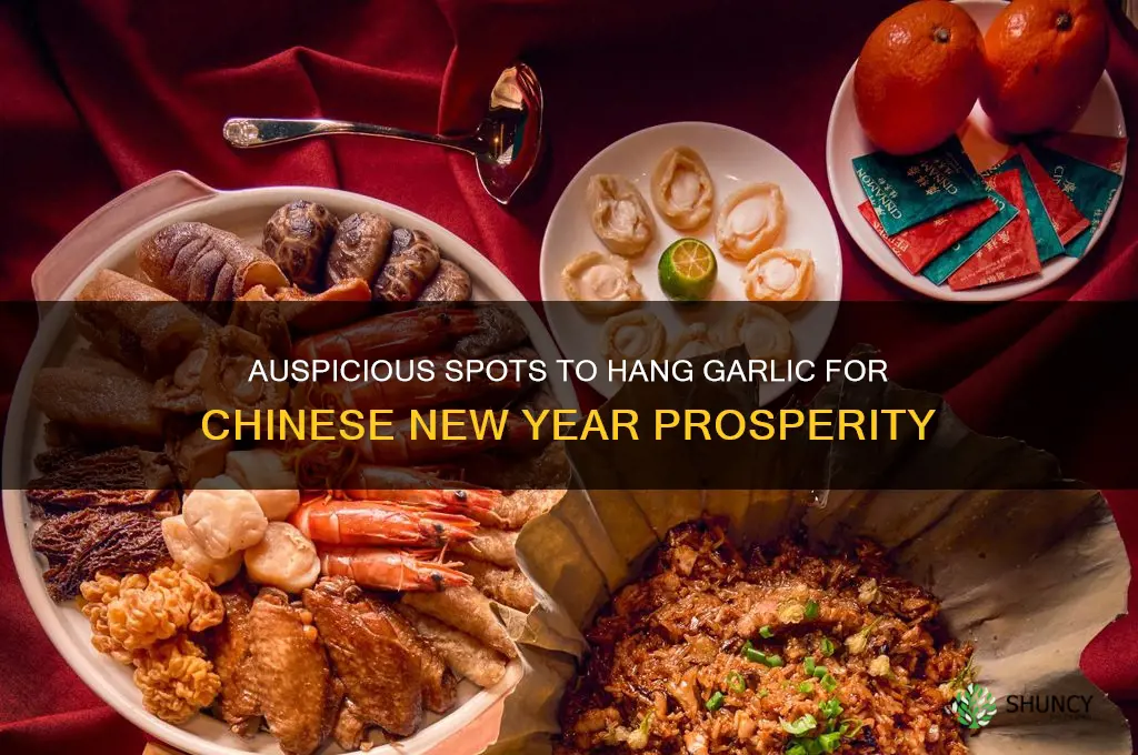 Auspicious Spots To Hang Garlic For Chinese New Year Prosperity | ShunCy