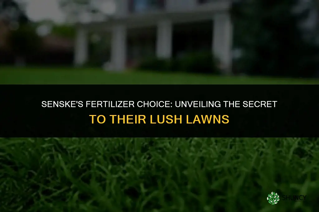 Senske's Fertilizer Choice: Unveiling The Secret To Their Lush Lawns ...
