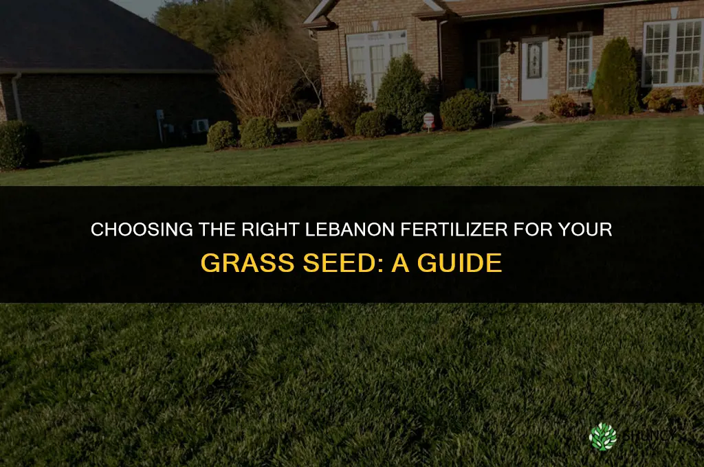 Choosing The Right Lebanon Fertilizer For Your Grass Seed: A Guide | ShunCy