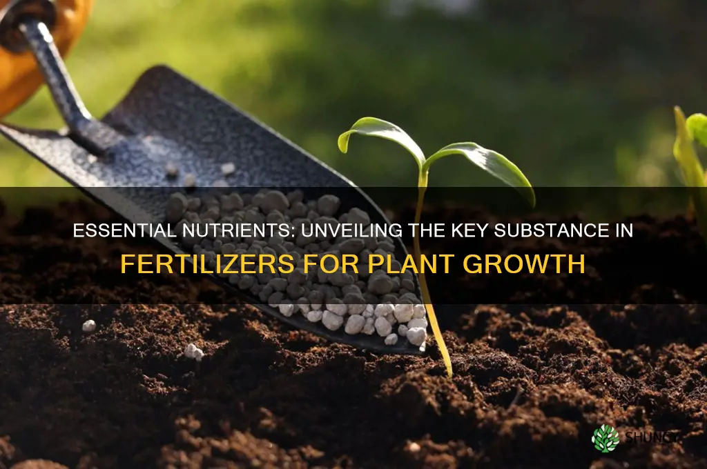 Essential Nutrients: Unveiling The Key Substance In Fertilizers For ...