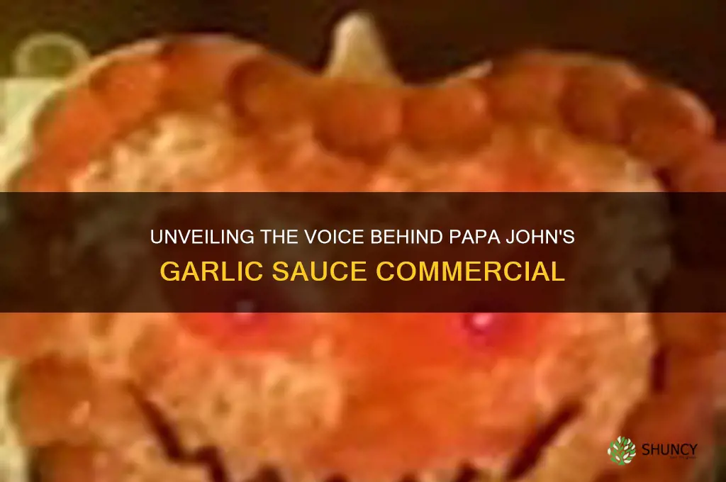 Unveiling The Voice Behind Papa John's Garlic Sauce Commercial | ShunCy