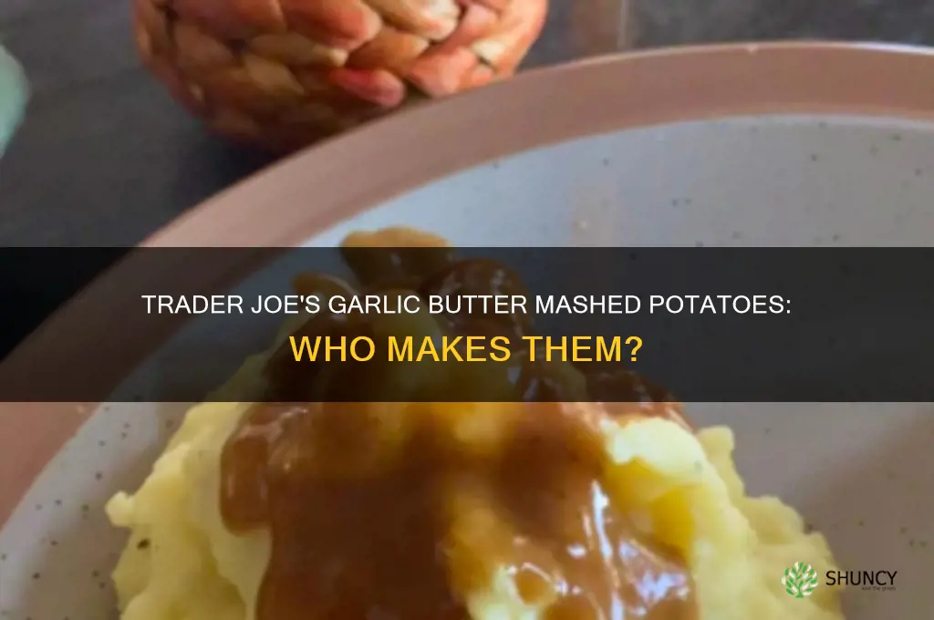 Trader Joe's Garlic Butter Mashed Potatoes: Who Makes Them? | ShunCy