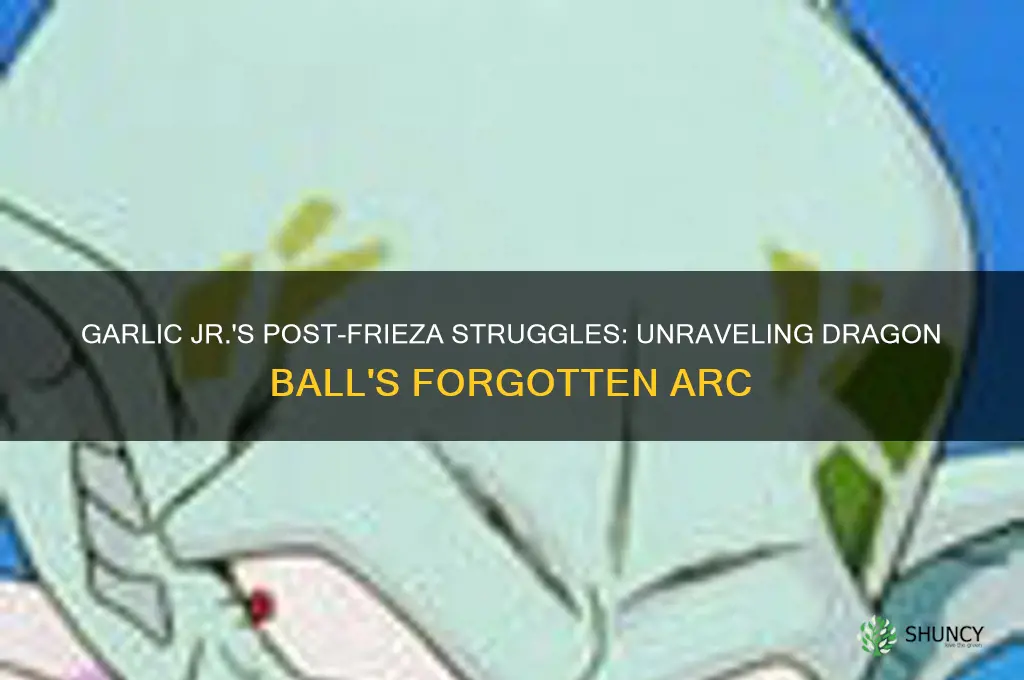 Garlic Jr.'S Post-Frieza Struggles: Unraveling Dragon Ball's Forgotten ...