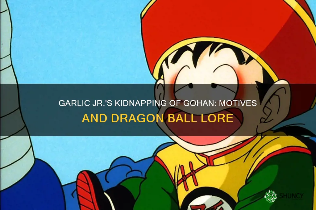 Garlic Jr.'S Kidnapping Of Gohan: Motives And Dragon Ball Lore | ShunCy