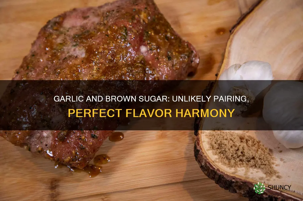 Garlic And Brown Sugar: Unlikely Pairing, Perfect Flavor Harmony | ShunCy