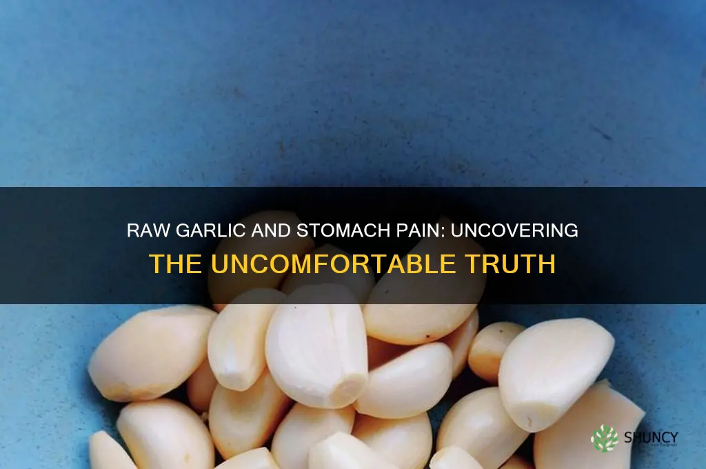 Raw Garlic And Stomach Pain: Uncovering The Uncomfortable Truth | ShunCy