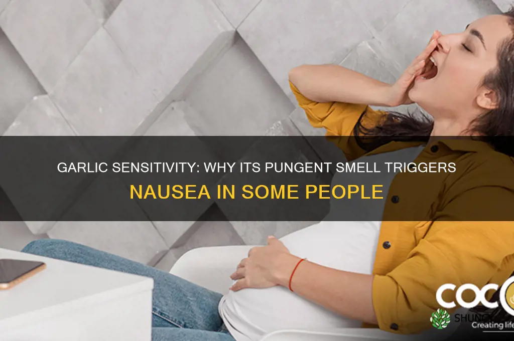 Garlic Sensitivity: Why Its Pungent Smell Triggers Nausea In Some ...